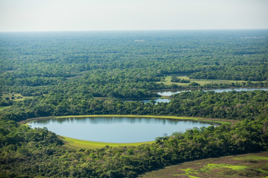 About Pantanal Wetlands, Brazil | History & Wildlife